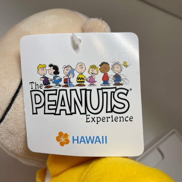 Peanuts | Toys | Charlie Brown Plush From A Peanuts Experience Hawaii ...